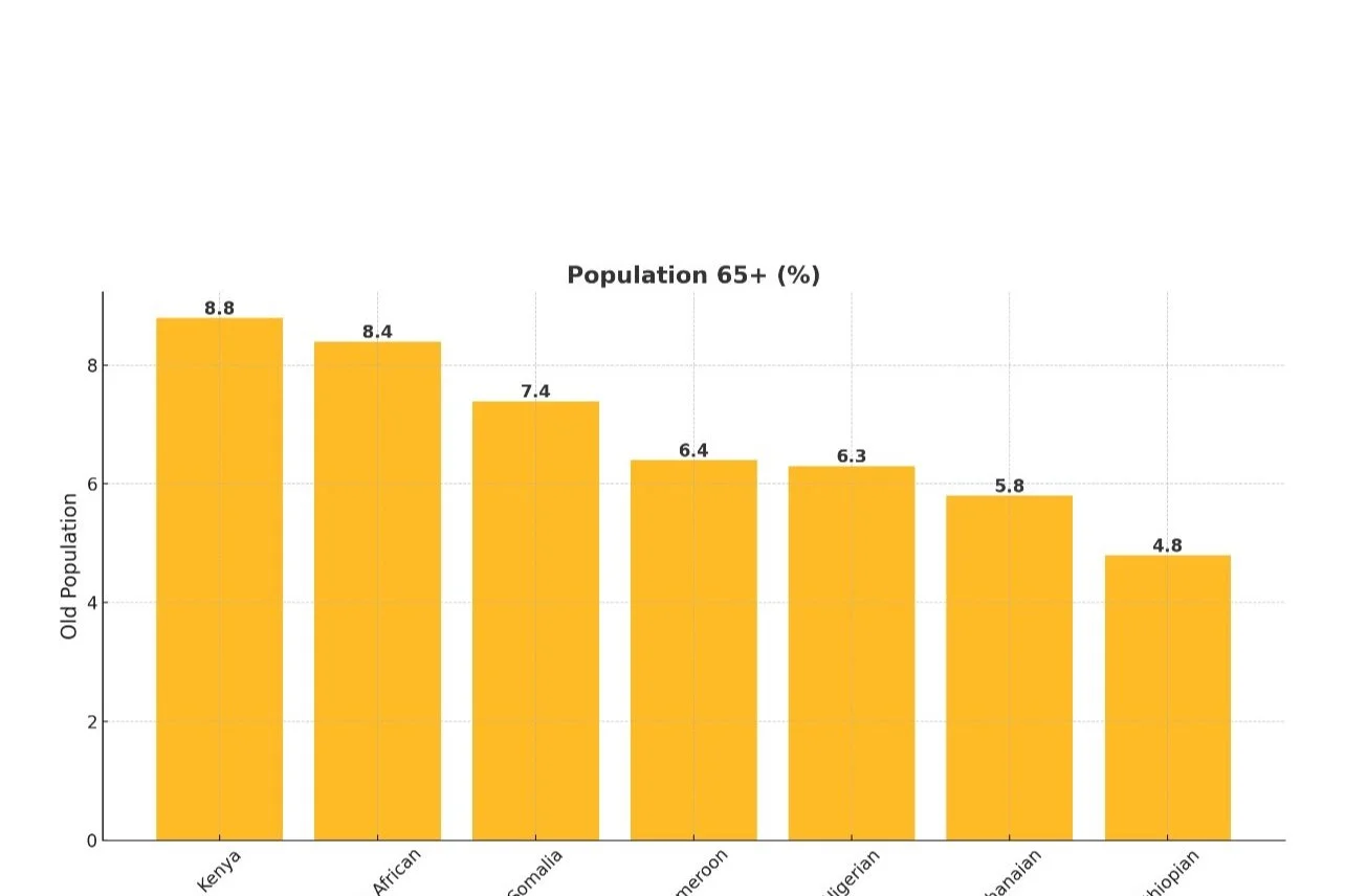 The African Immigrant Experience in America: Insights into Income ...