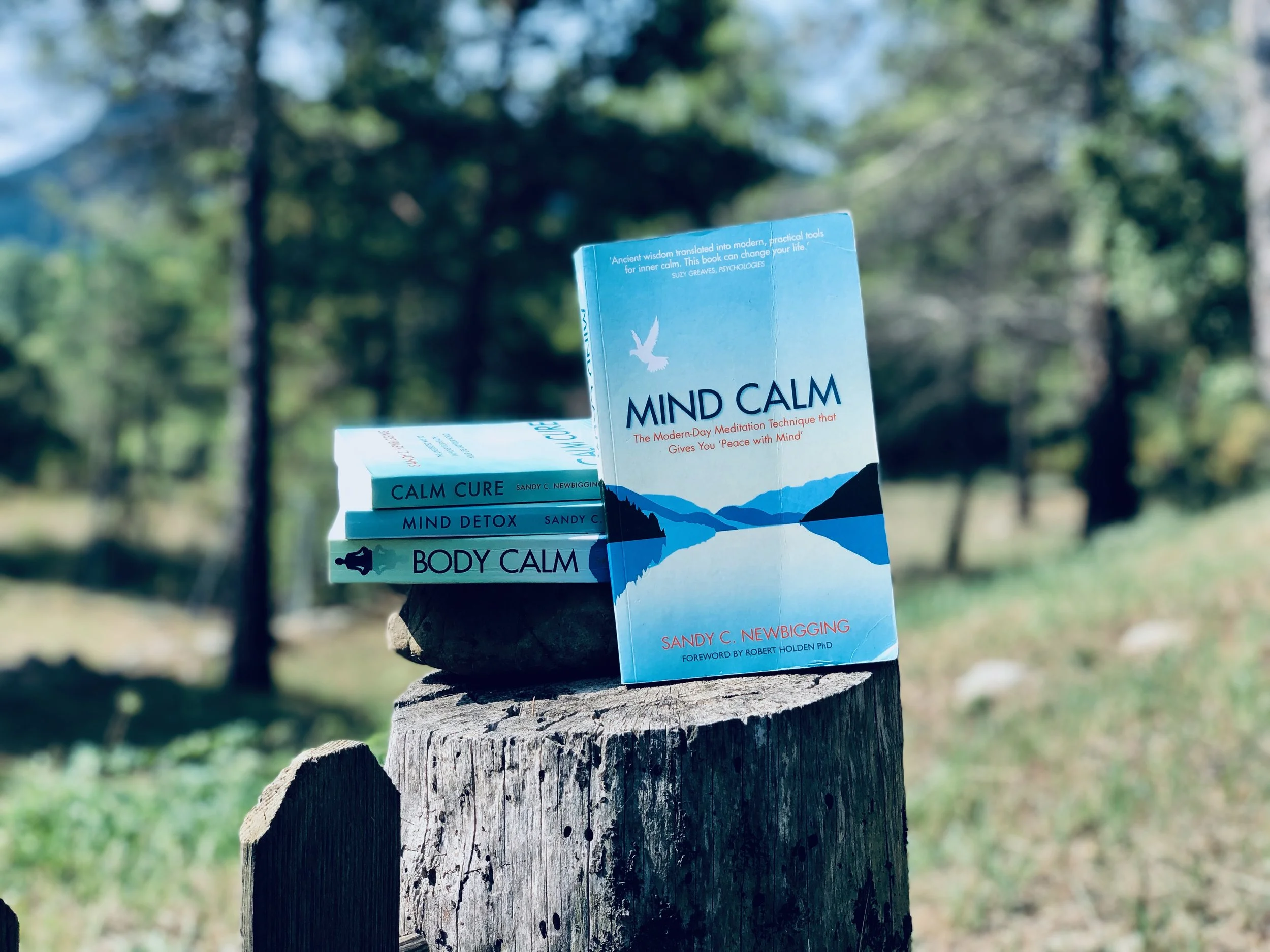 Books — Sandy C. Newbigging