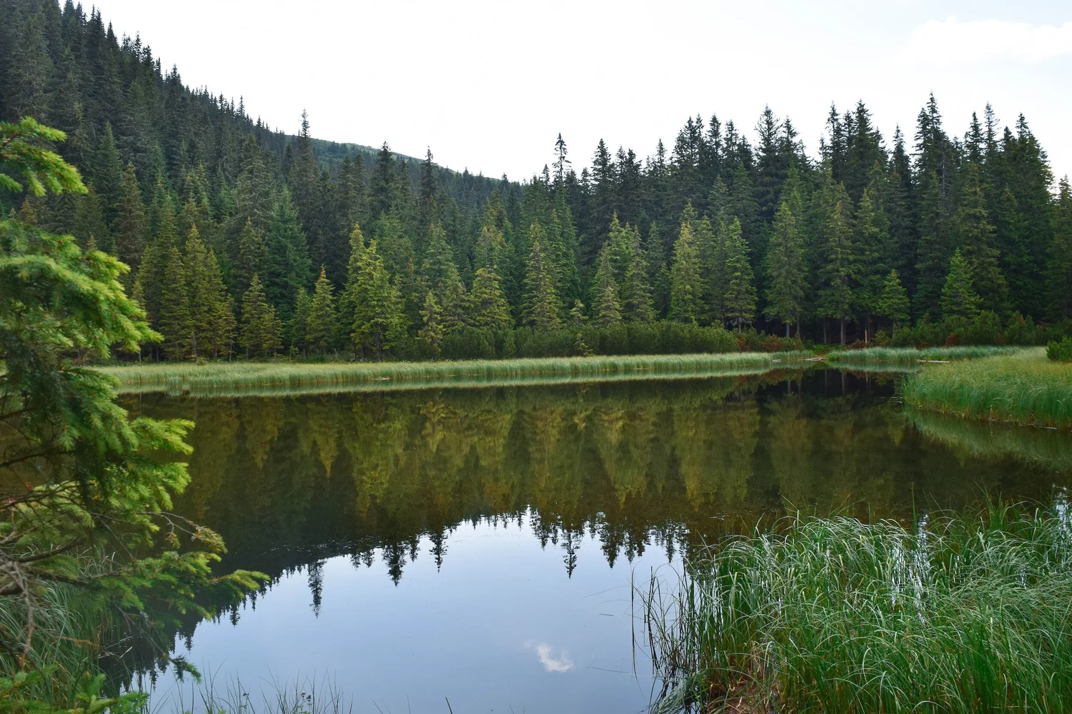 Fly Fishing Guides in Northern California — Lance Gray & Company