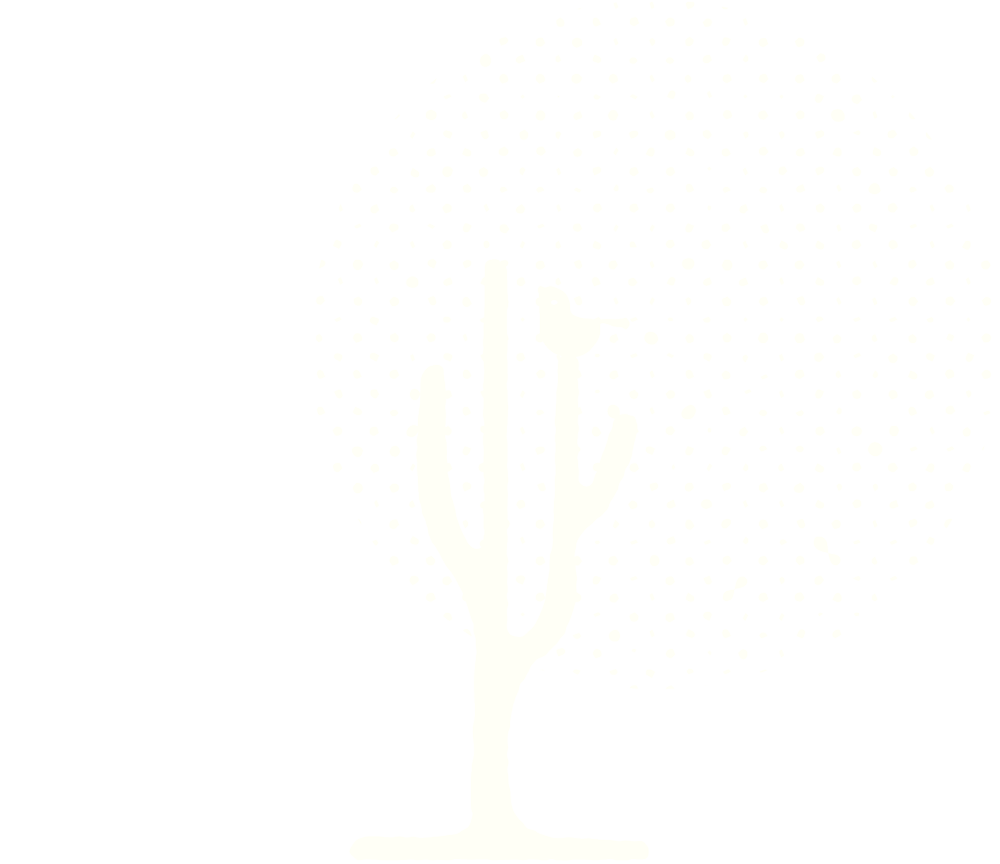 Sam Hughes — The Sonoran House Tucson