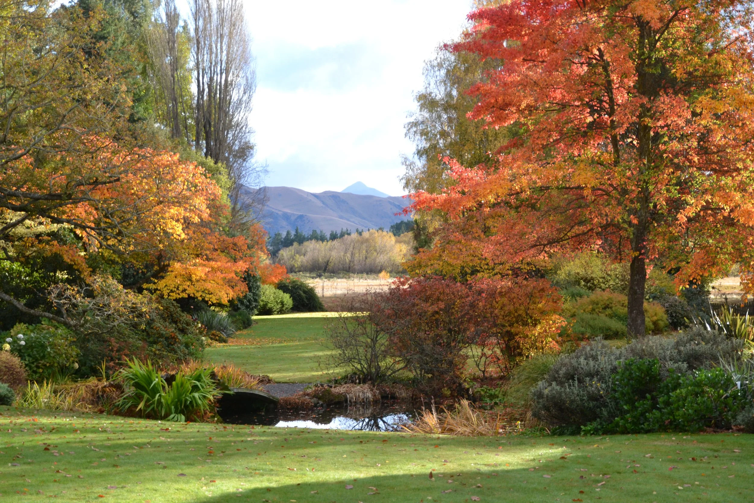 Flaxmere Garden | Discover Tranquil Beauty