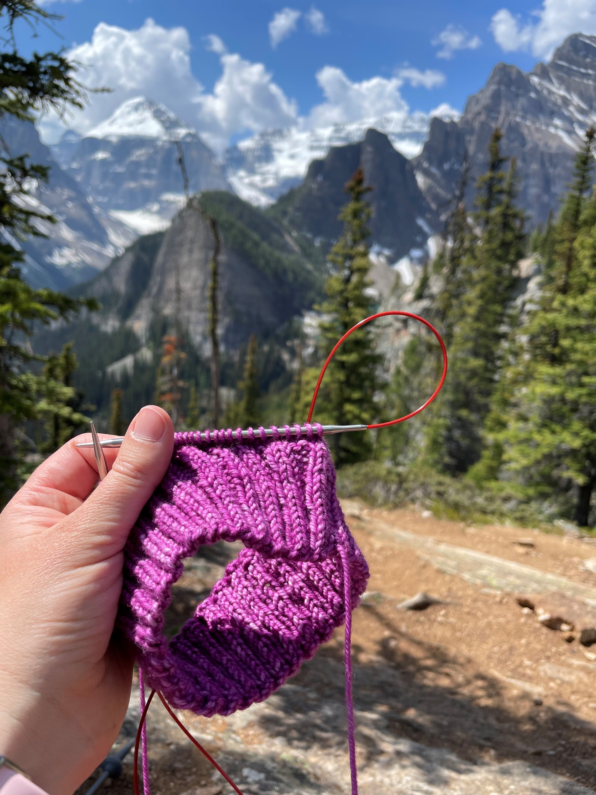 Knit Adventures