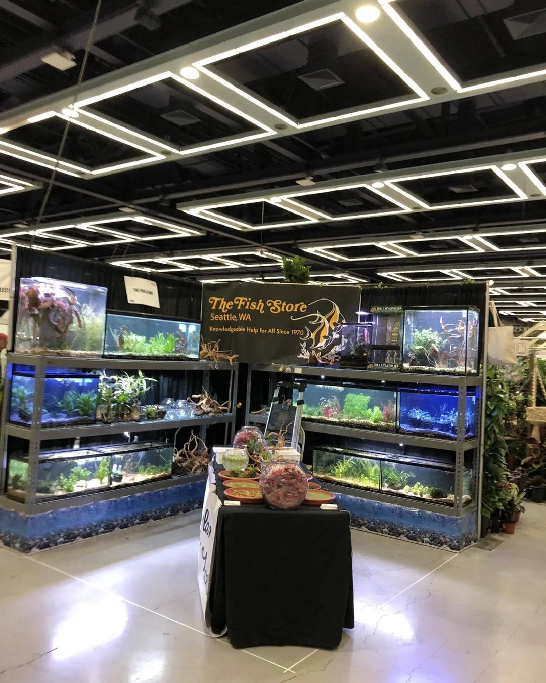 The Fish Store