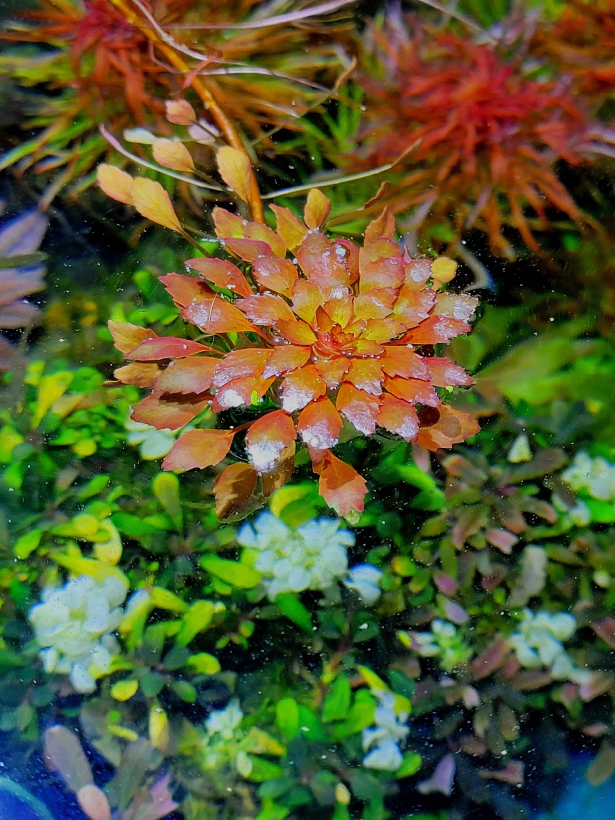 Questions and Answers — The Fish Store