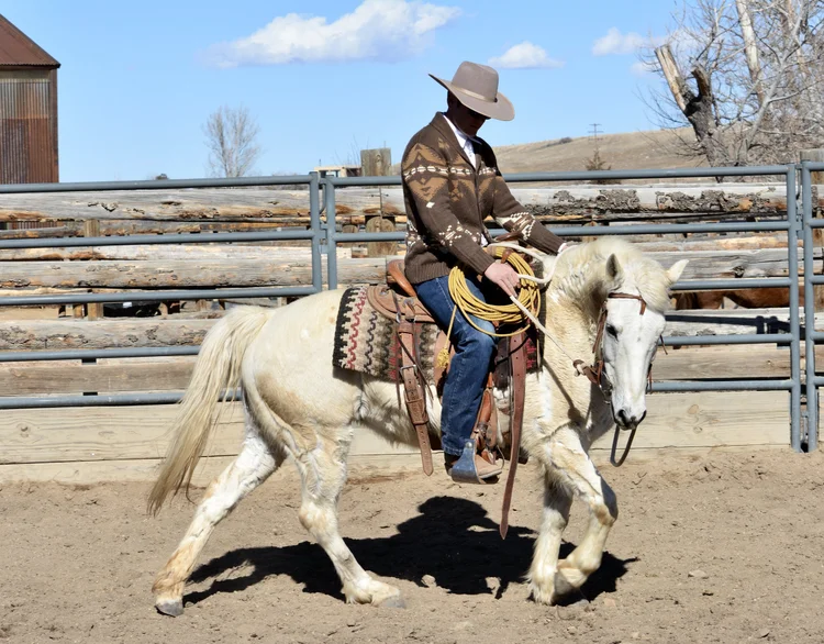 OUR TEAM — GREAT ESCAPE MUSTANGS