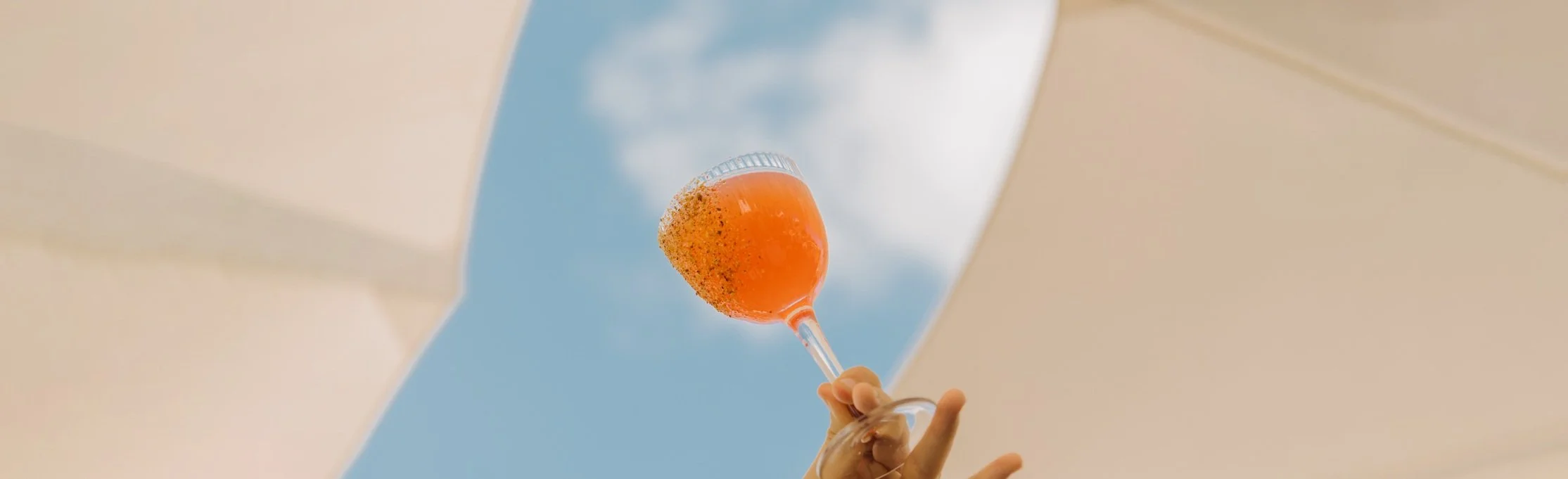 Drinks Menu — Promenade Bondi