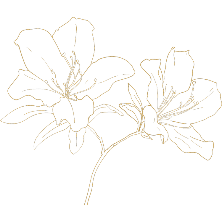 Alli Watts Celebrant | Bendigo Celebrant | Alli Watts Celebrant ...