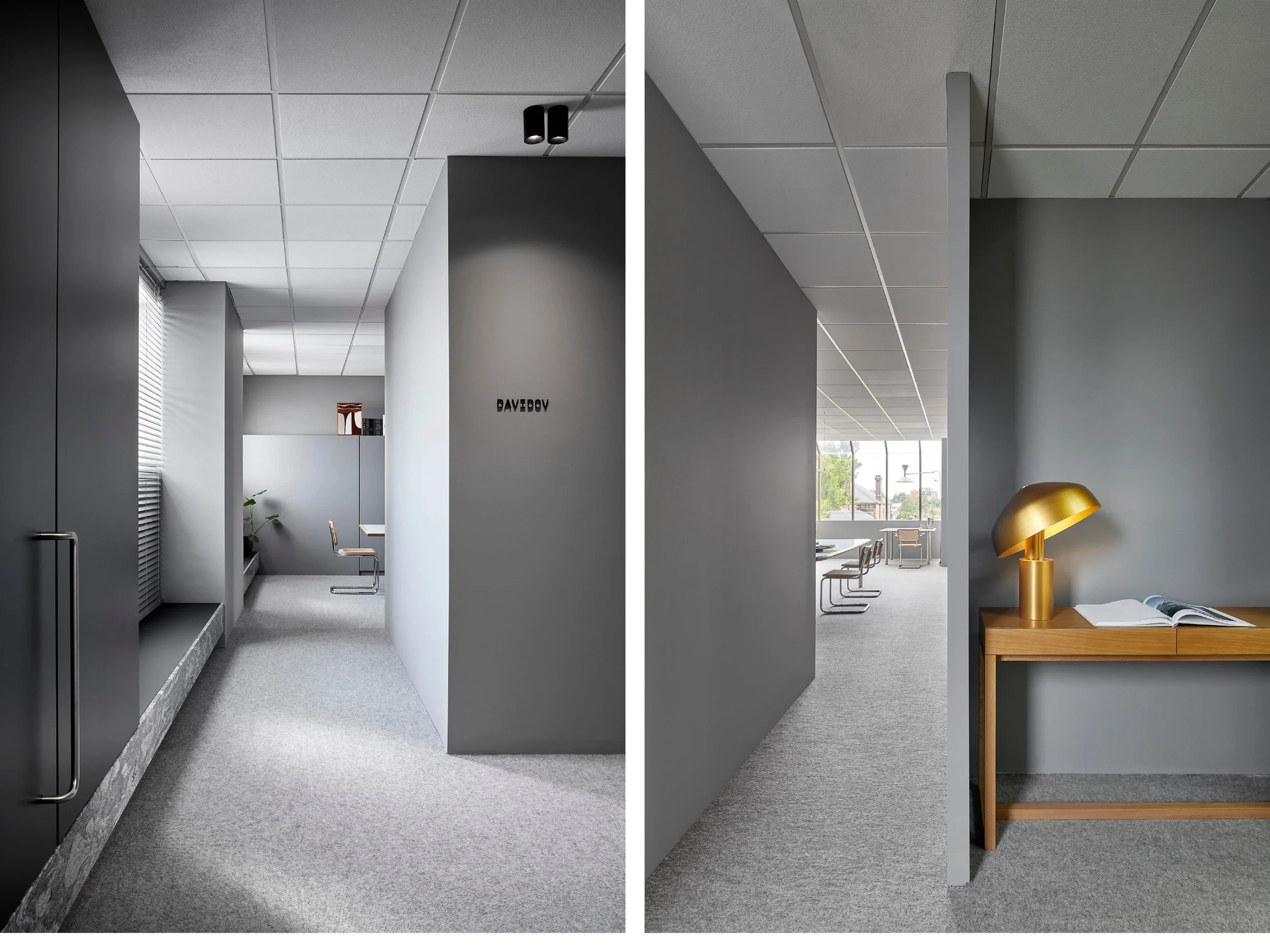 Davidov Architects Studio — Davidov Architects