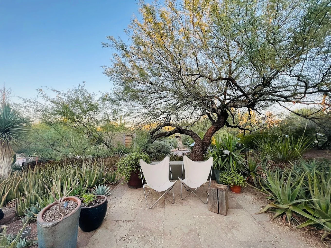 Kitchell Family Heritage Garden — DIRTY ROOTS