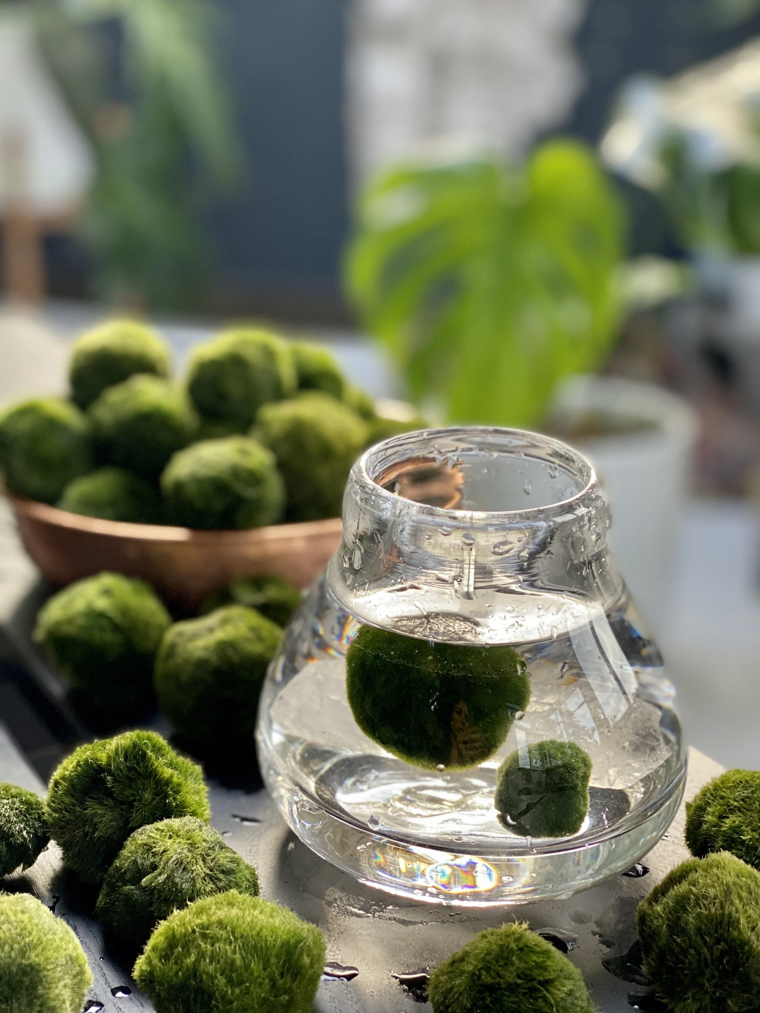 Dirty Talks with Karina Aldredge aka @sacredelements — DIRTY ROOTS