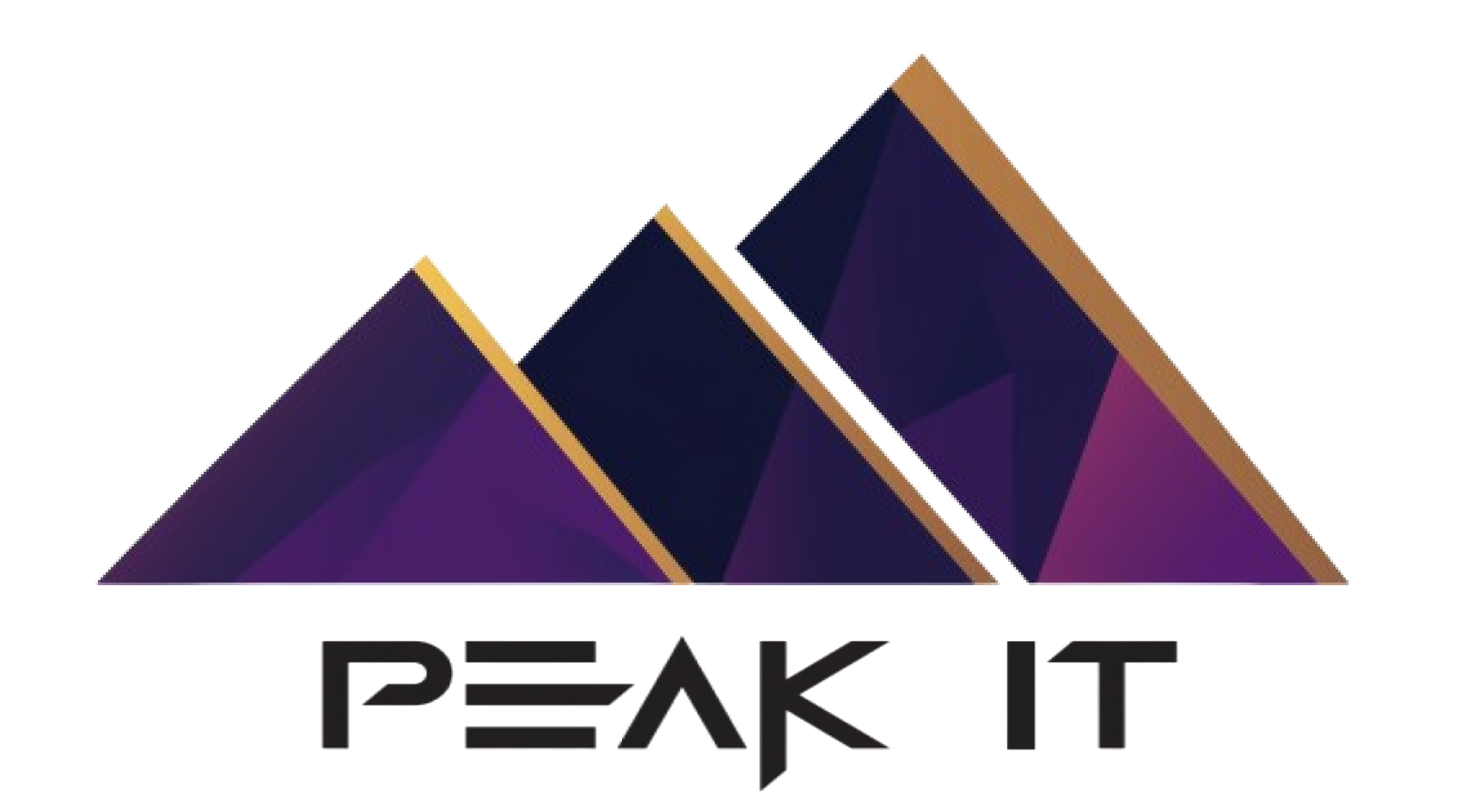 Peak It Logo Peak IT Professionals – Plan For What You Can Control