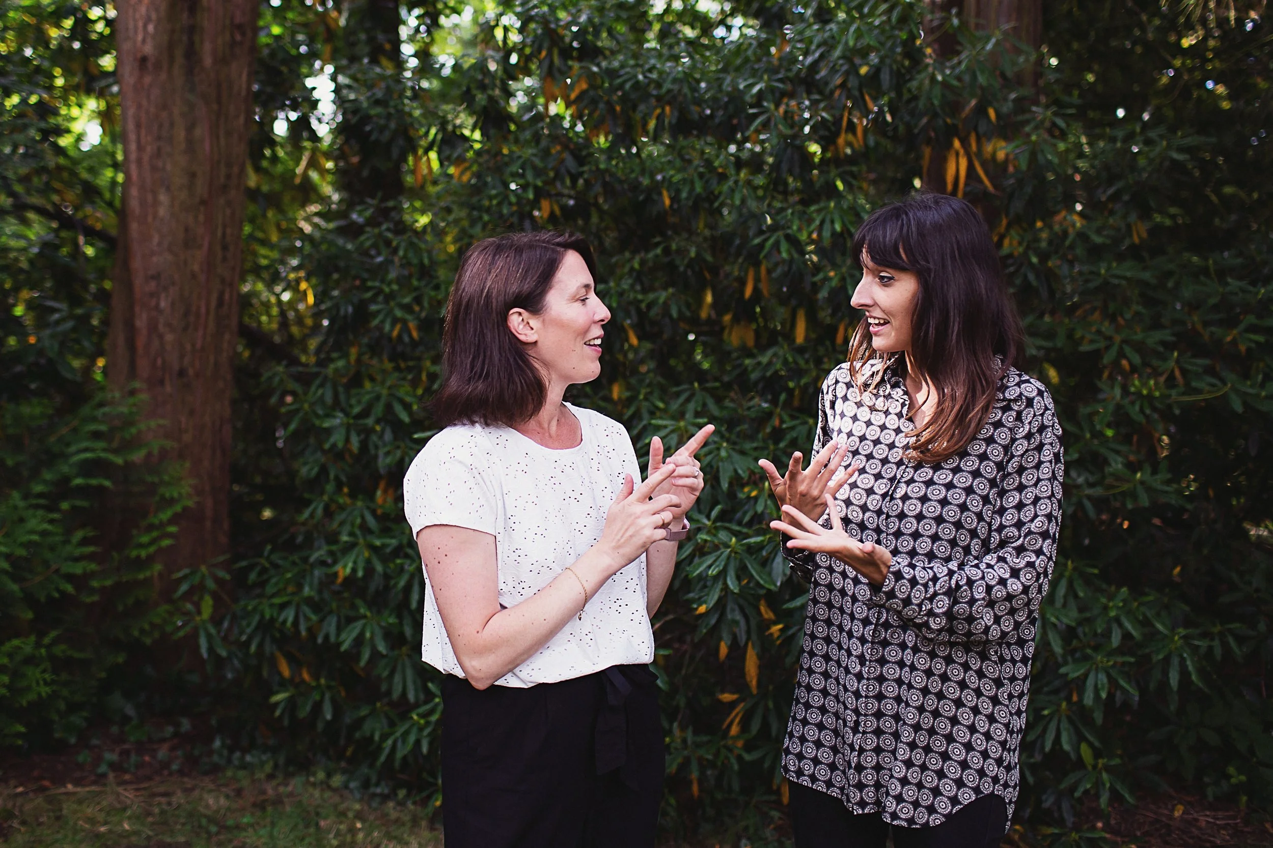 Primary Languages Network — Primary Languages Network