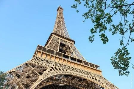 Plan a French day to remember! — Primary Languages Network