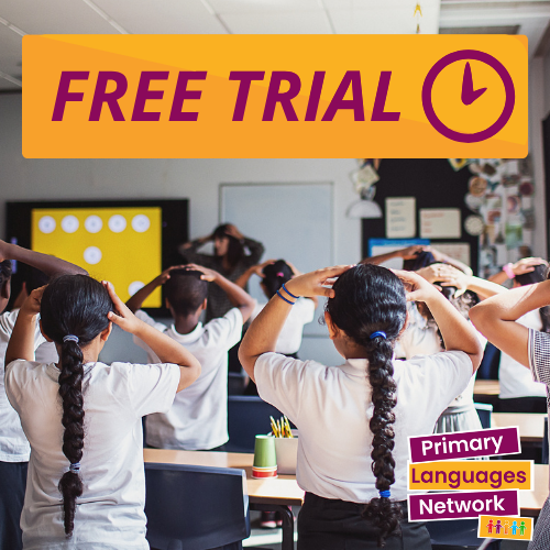 5 steps to take control and transform | Start Your Transformation — Primary Languages Network