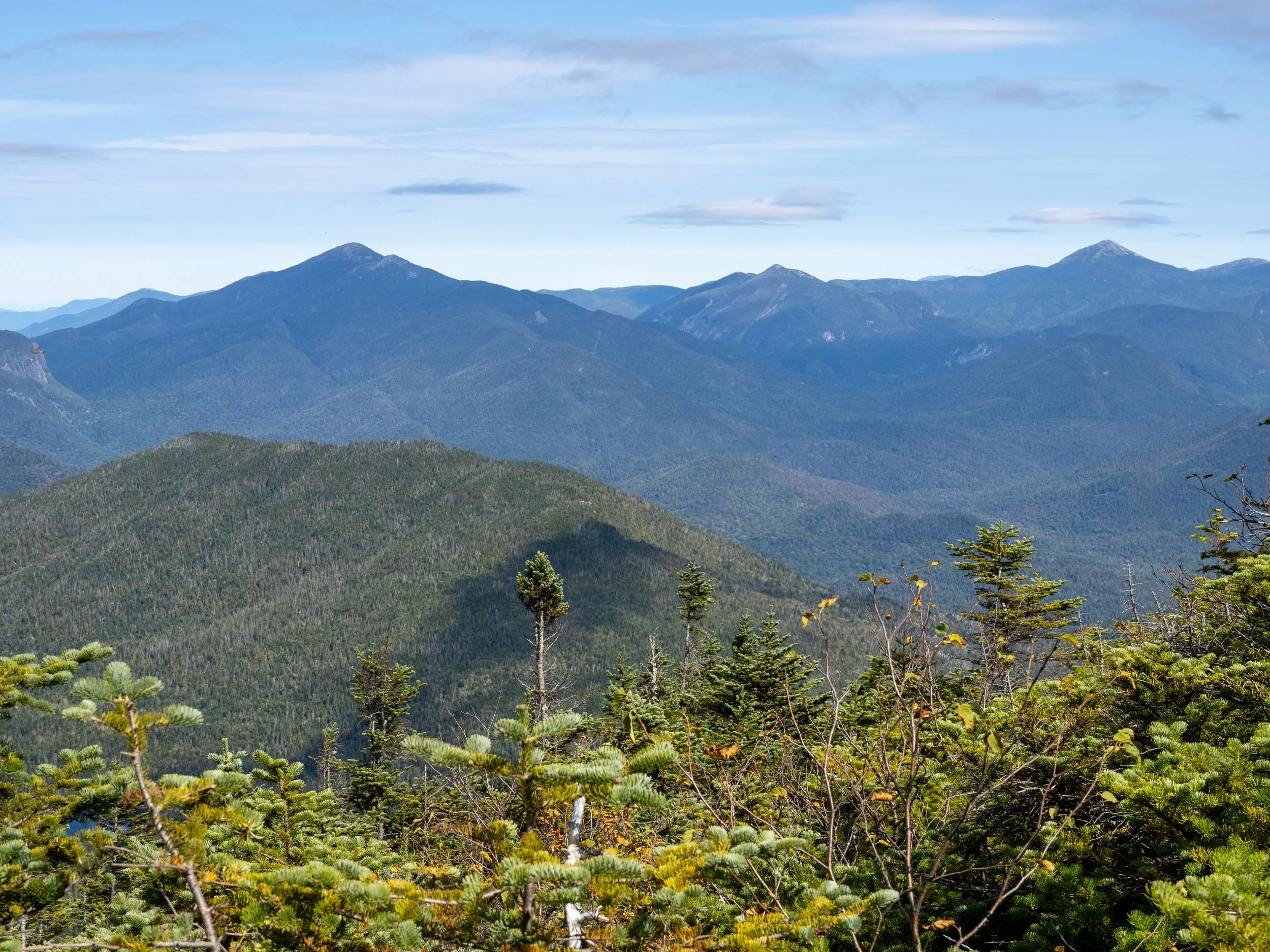 FOREST RANGER FOUNDATION