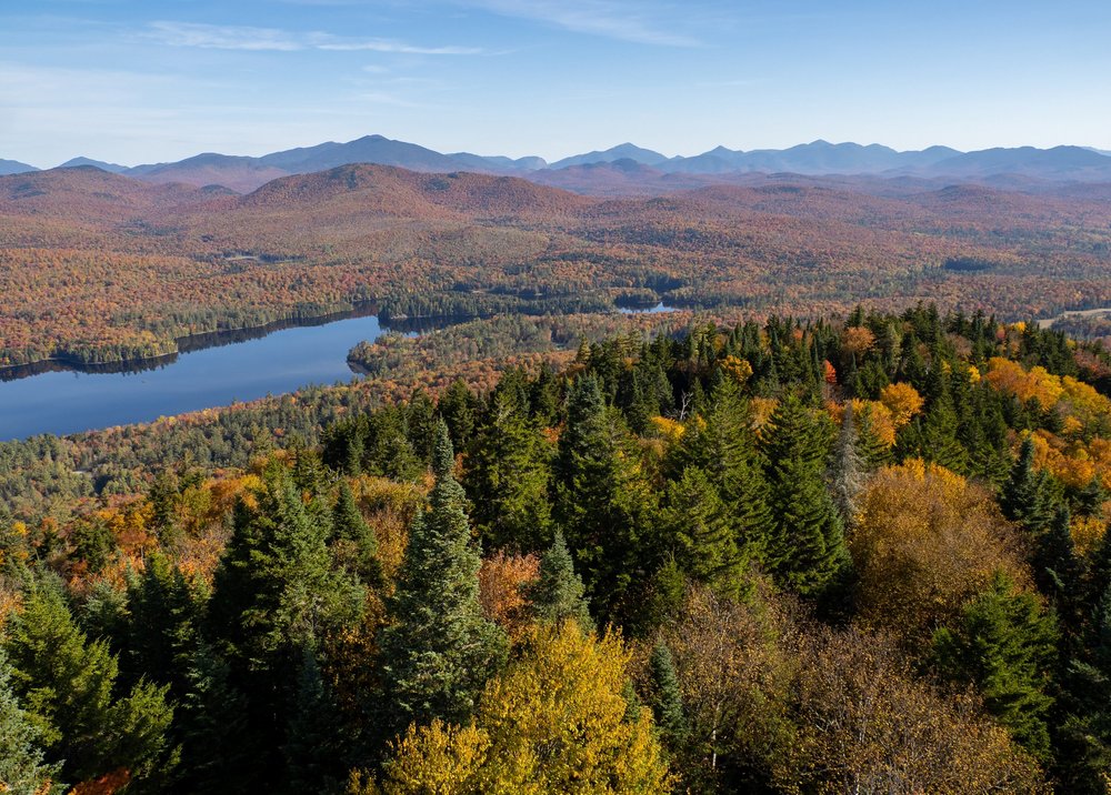 FOREST RANGER FOUNDATION