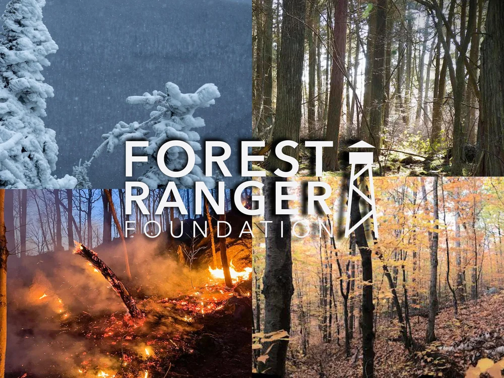 FOREST RANGER FOUNDATION