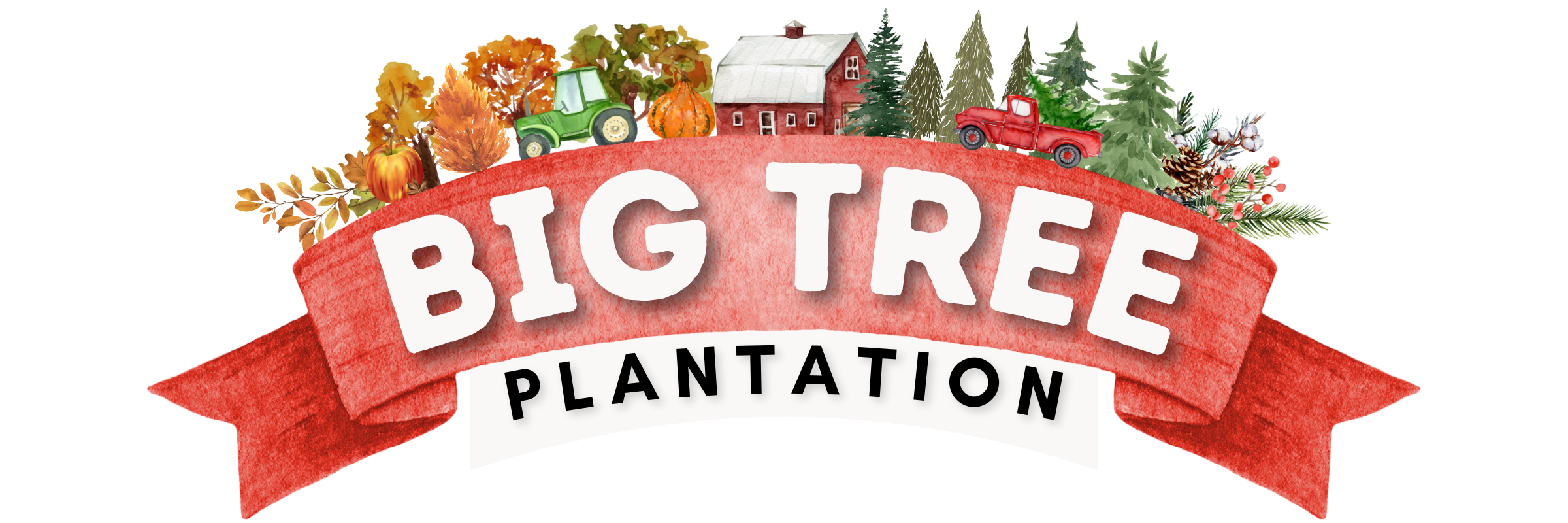 Plantation Tree Farm