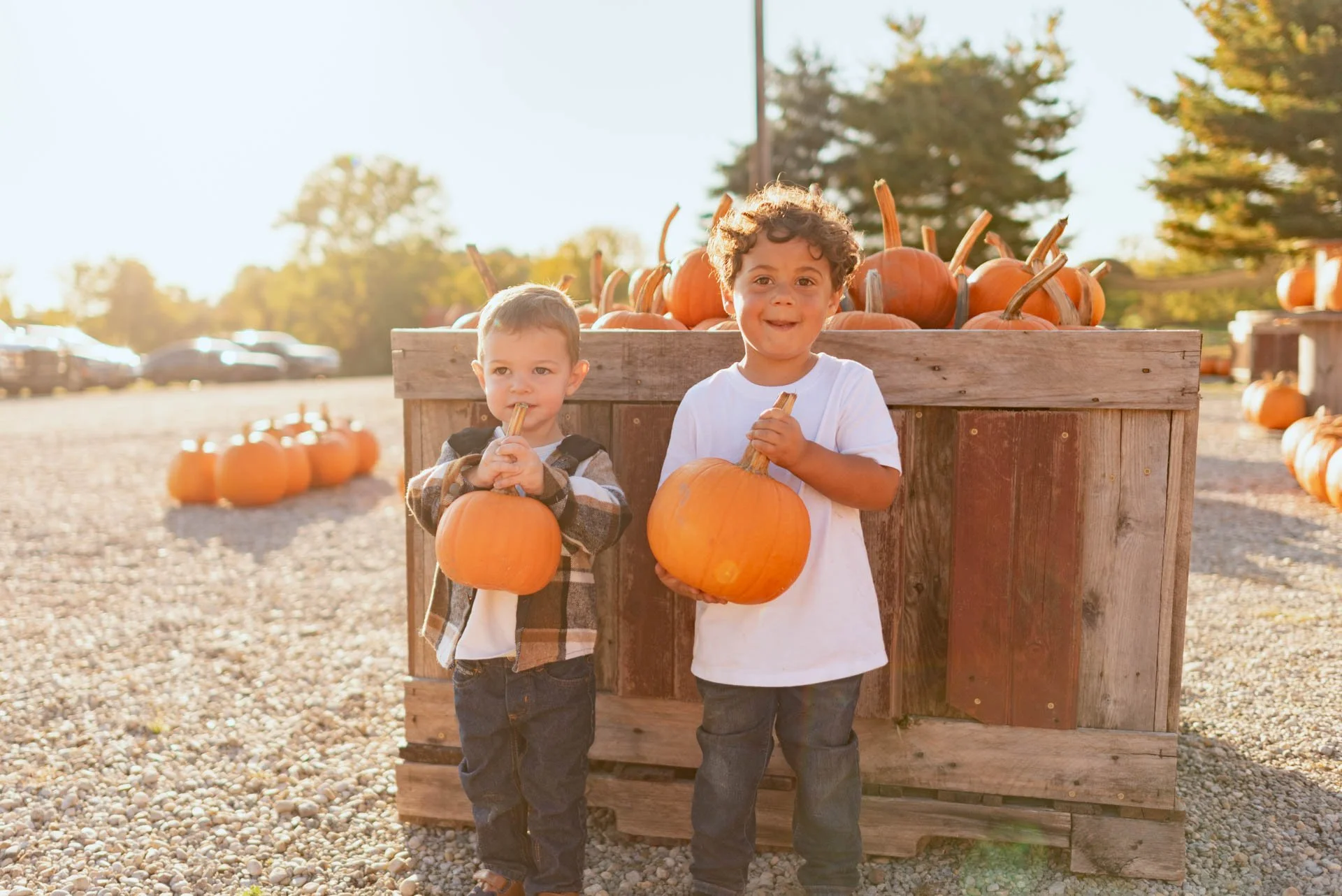 Family Fall Festival and Christmas Trees in Morrow, Ohio — Family Fall ...