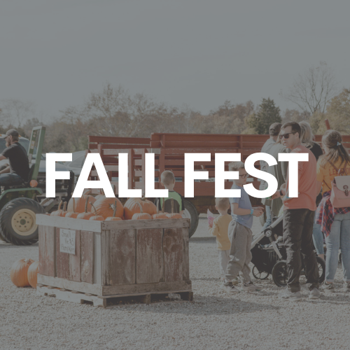 Fall Festival and Christmas Trees in Morrow, Ohio