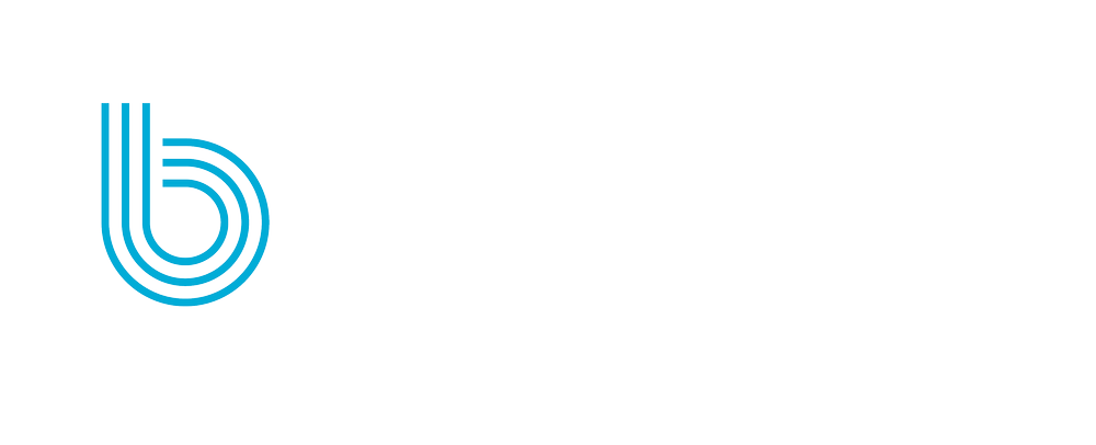 Boundless by Baker & Taylor
