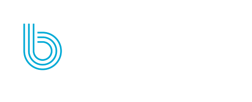 Boundless by Baker & Taylor