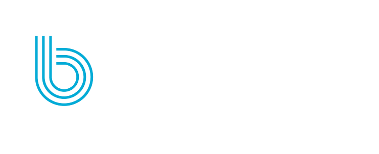 Boundless by Baker & Taylor