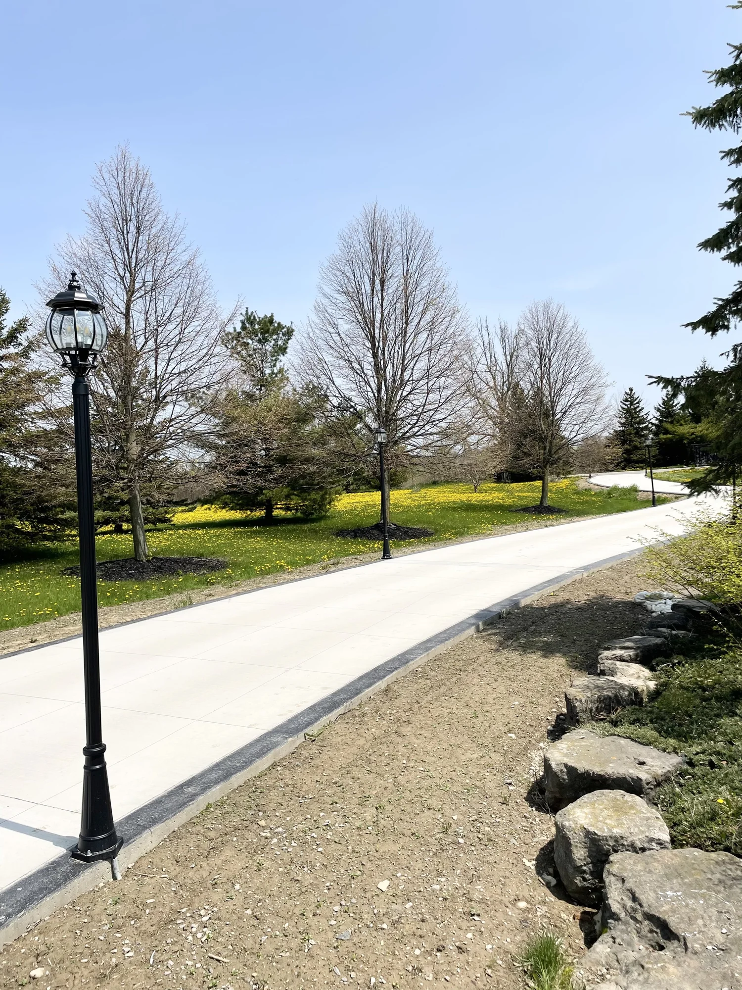 Ruby Concrete: Luxury Concrete Driveways and Backyards