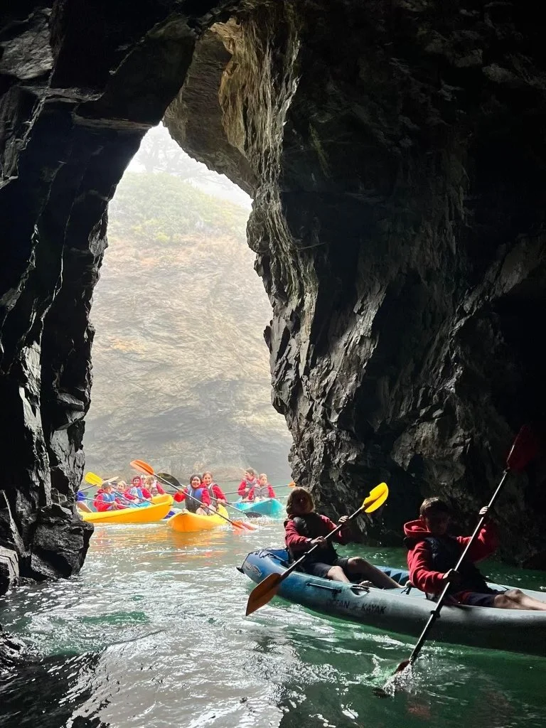 Kayak Mendocino | Kayak nature tours on the Mendocino Coast