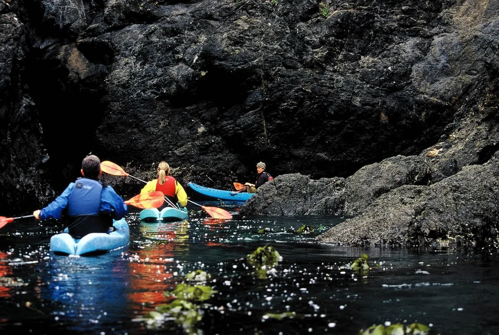 Kayak Mendocino | Kayak nature tours on the Mendocino Coast