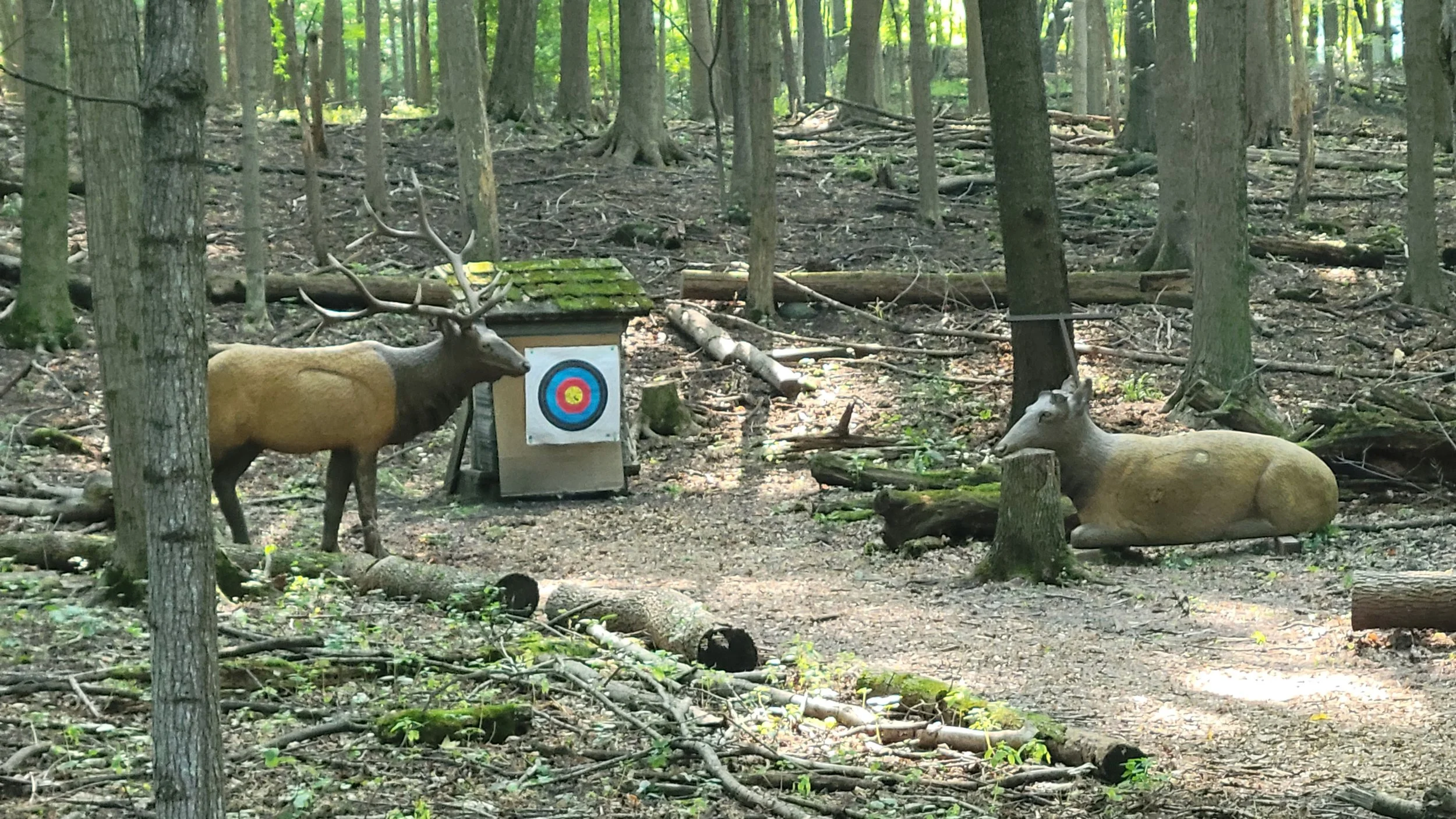 Sherwood Forest Bowmen Archery Club