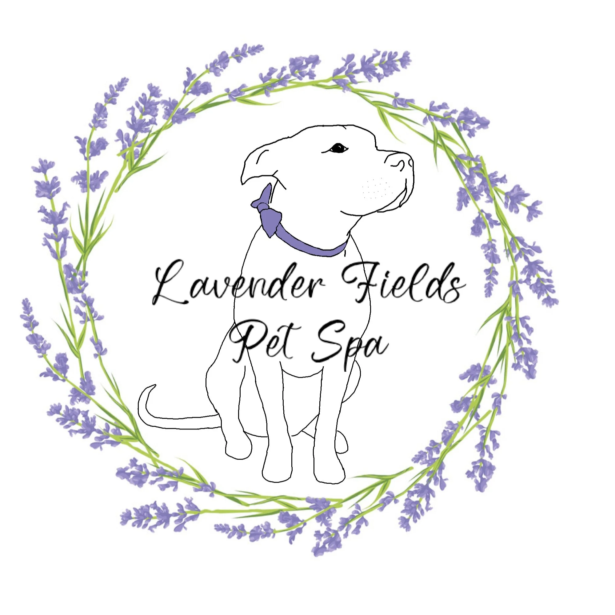 Lavender Fields Pet Spa- Luxury Pet Grooming Wilkes-Barre Lavender Fields Pet Spa- Luxury Pet Grooming Wilkes-Barre