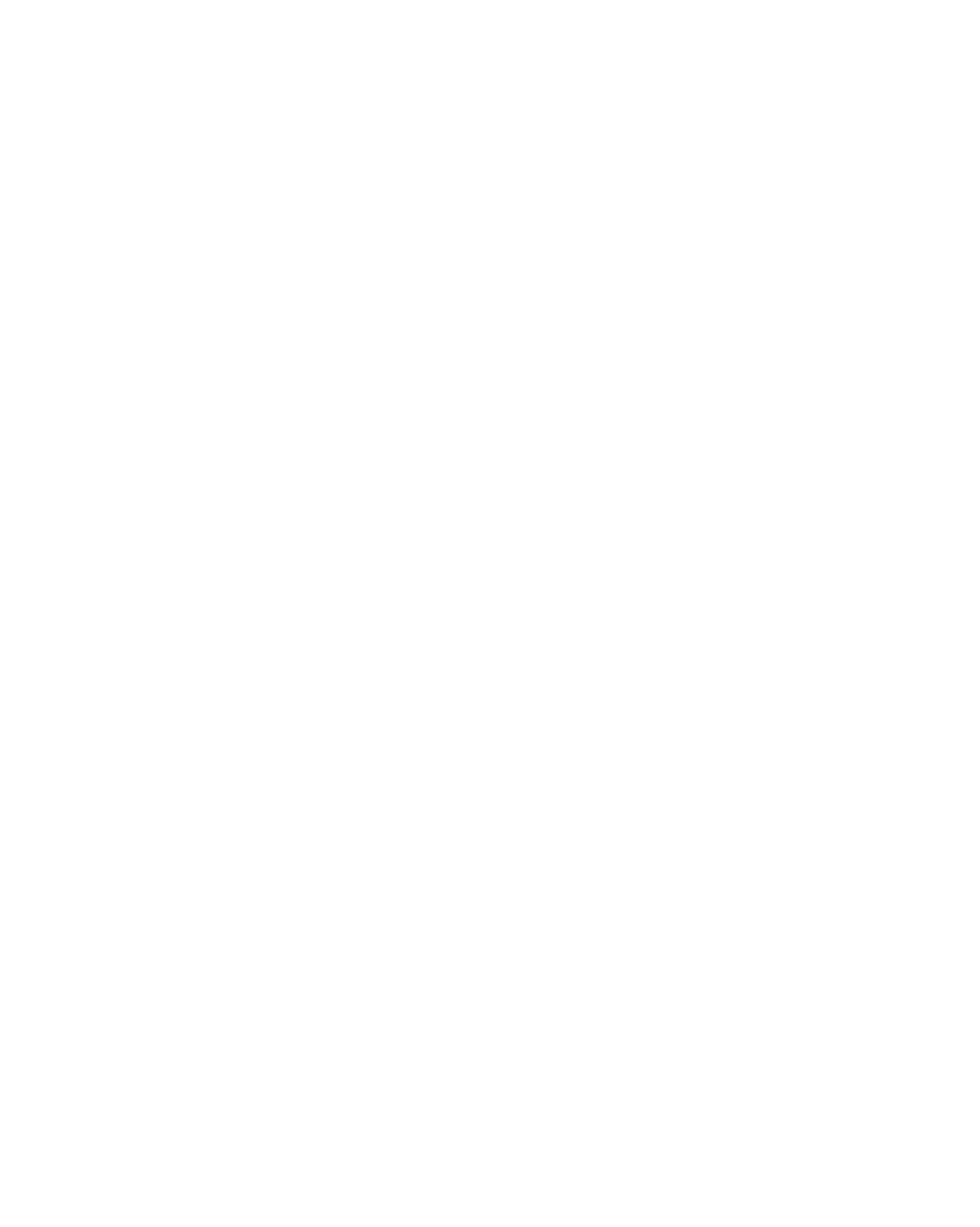 Indigo Collective Group