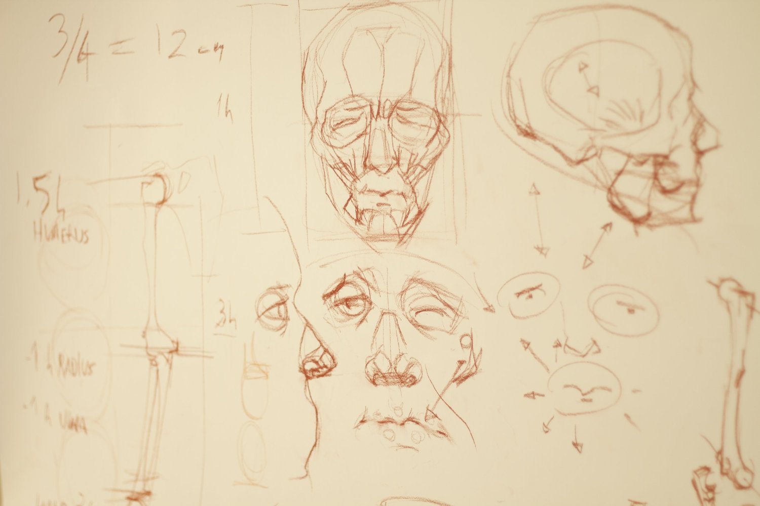 Anatomy Lectures for Artists: Exploring the Complexity of the Human ...