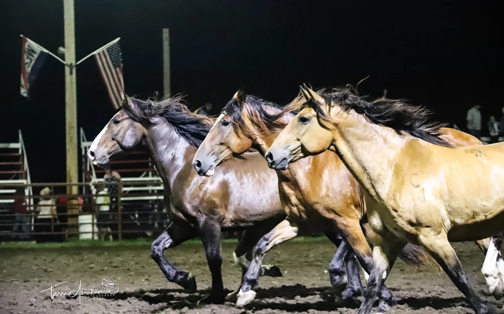 PRCA Rodeo — Wilson County Fair & Rodeo