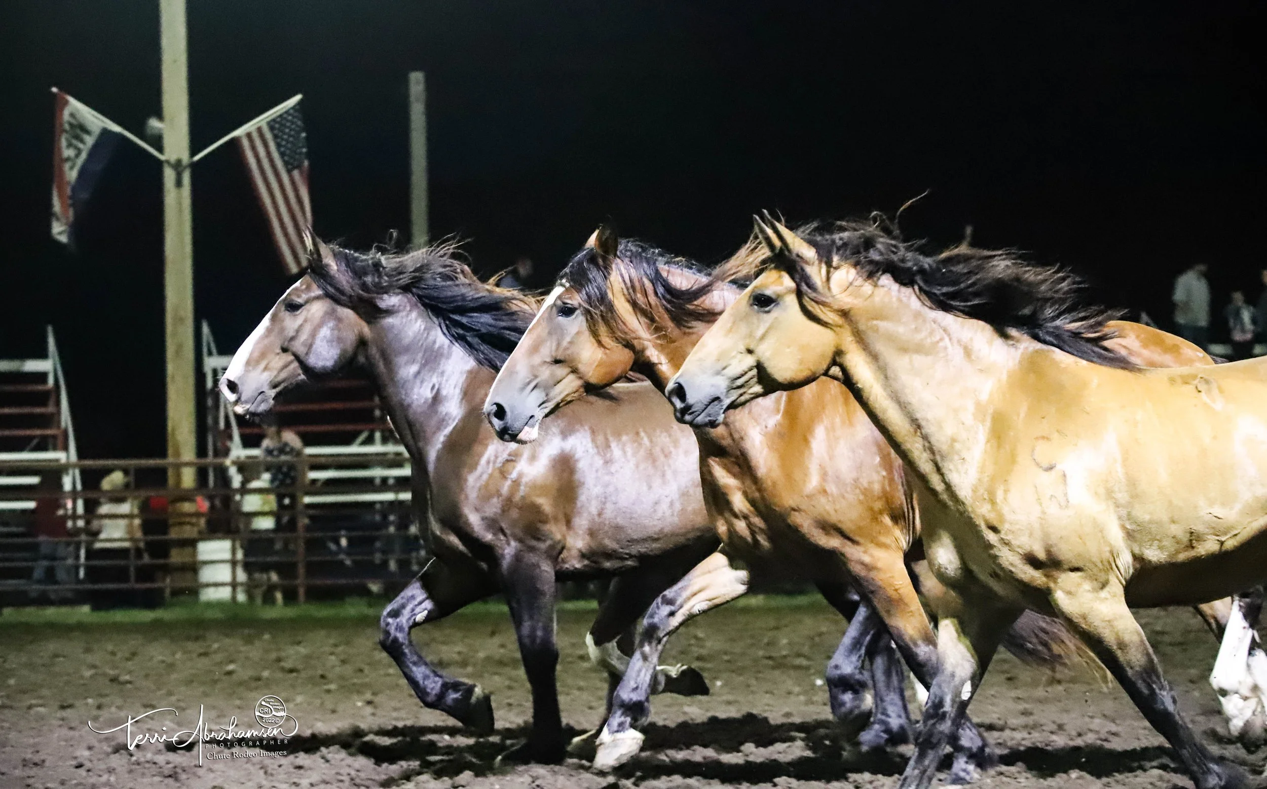 PRCA Rodeo — Wilson County Fair & Rodeo
