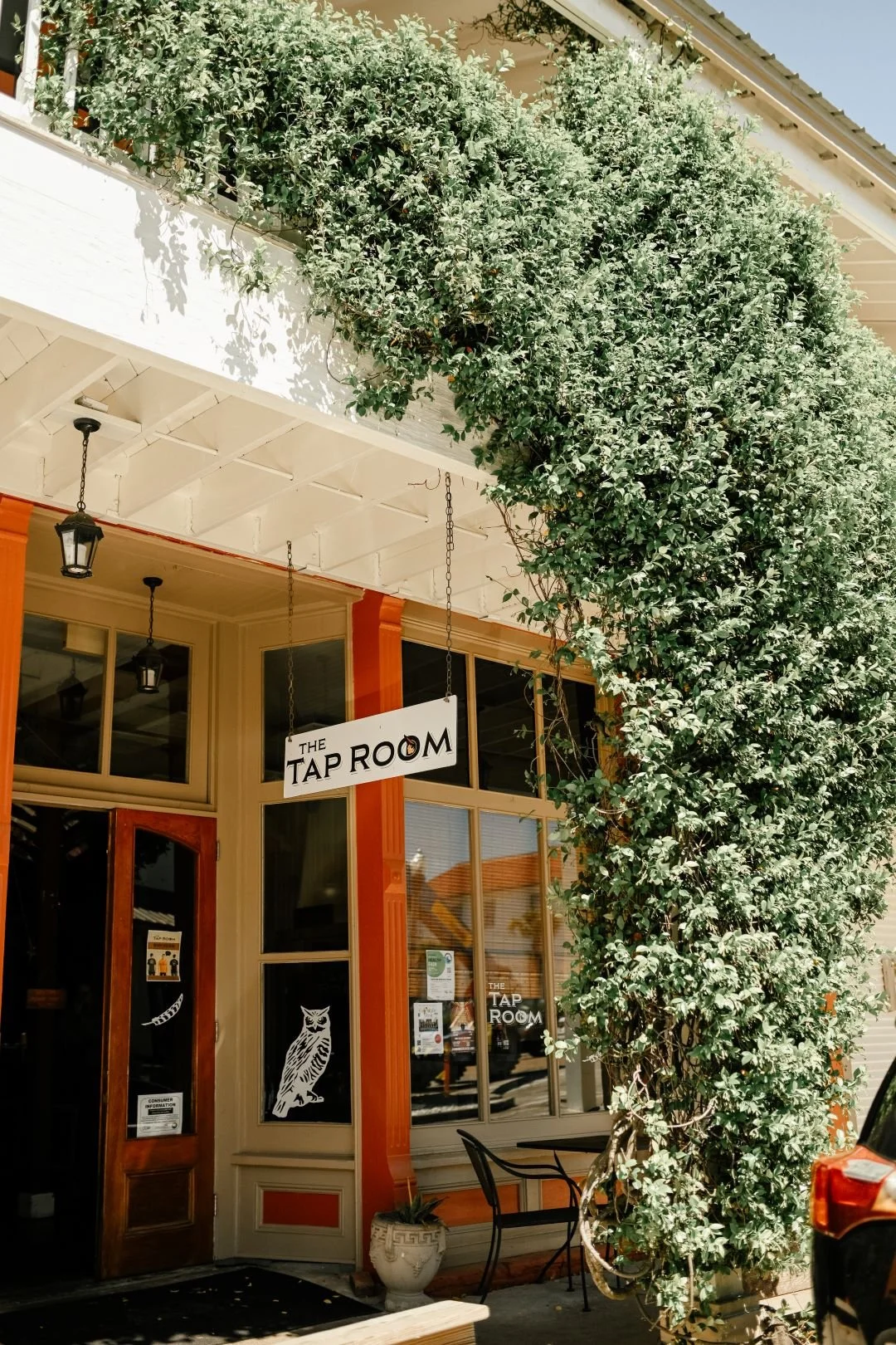 The Tap Room | Apalachicola, FL — Owl Café + The Tap Room