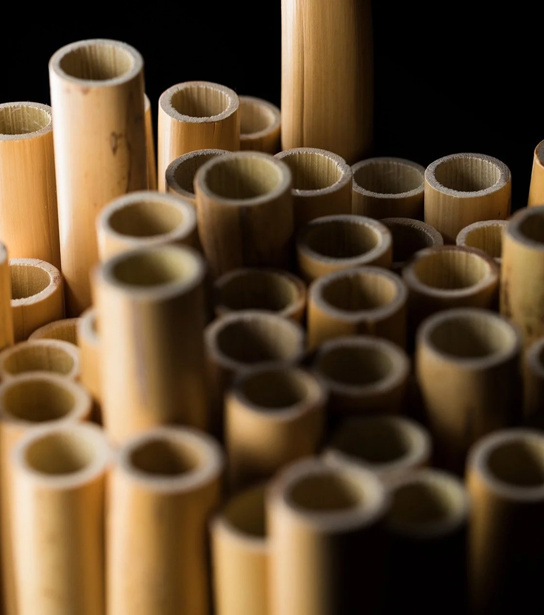 Student Oboe - JDR101 — Jones Double Reed