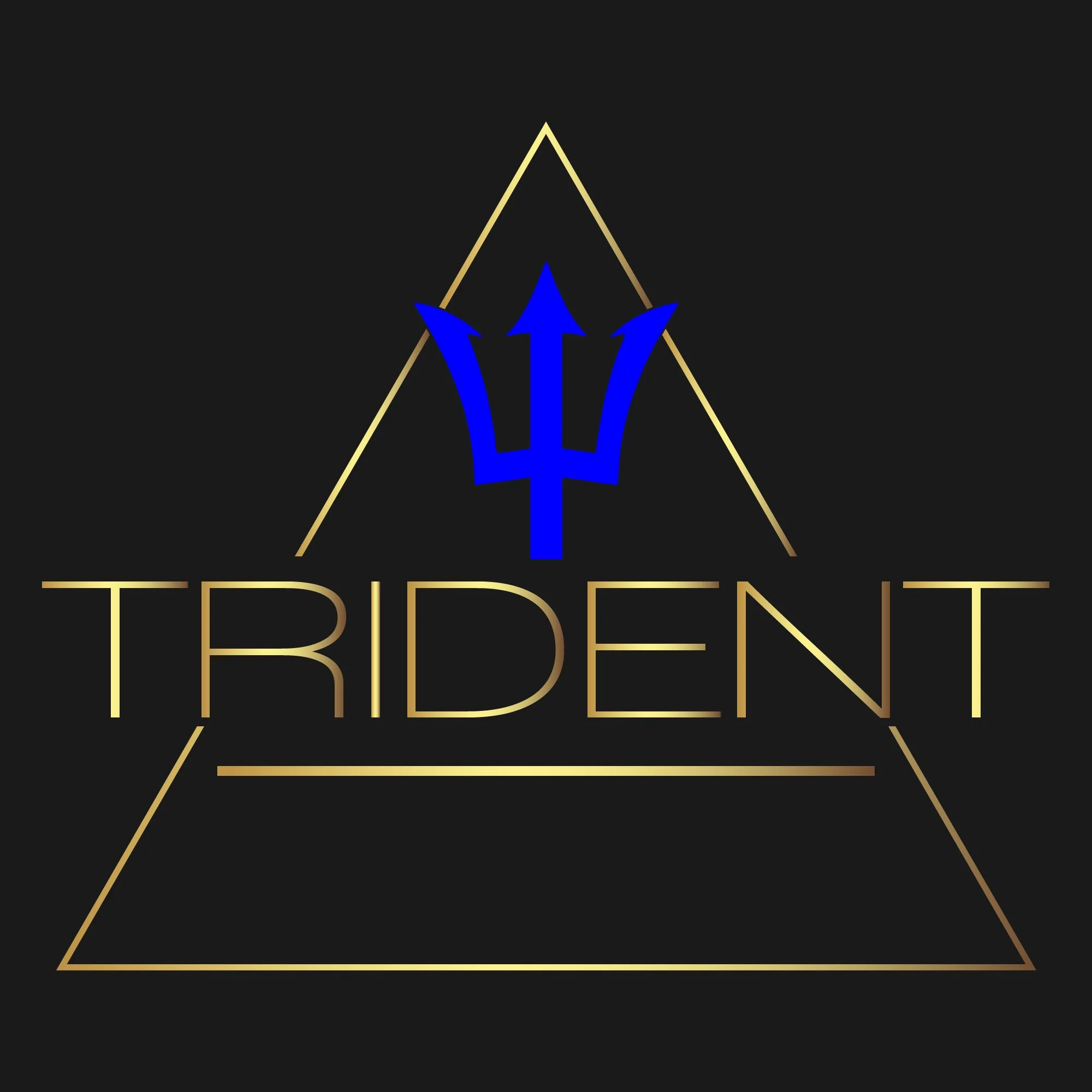 About 1 — Trident Pro Solution