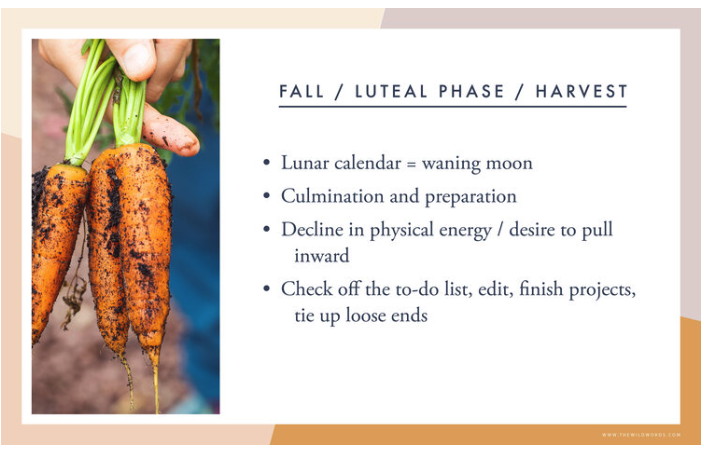 How Embracing the 4 Phases of Your Menstrual Cycle Can Expand Creative ...