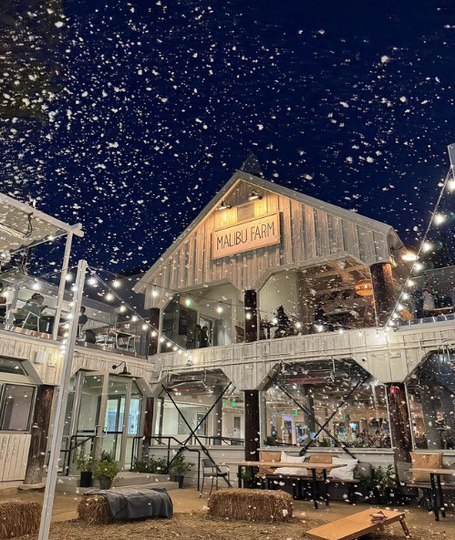 Malibu Farm Snow Flurries — Seaport Village