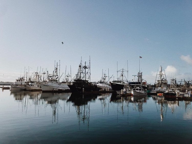 Tuna Harbor Dockside Market | Experiences at Seaport Village San Diego ...