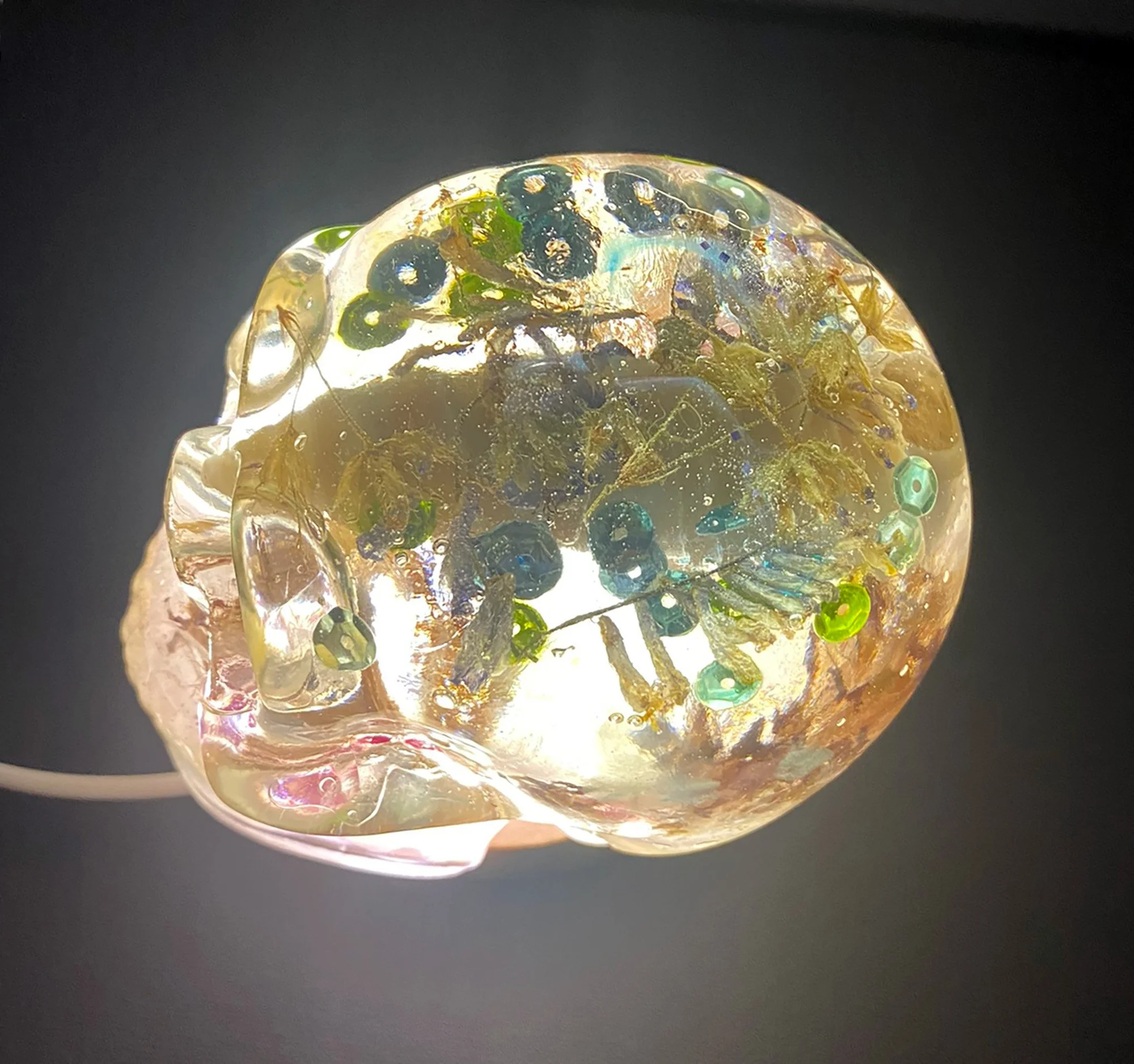 Large Nightlight Skull with Seashell, Wildflowers and Sequins — Spirit ...