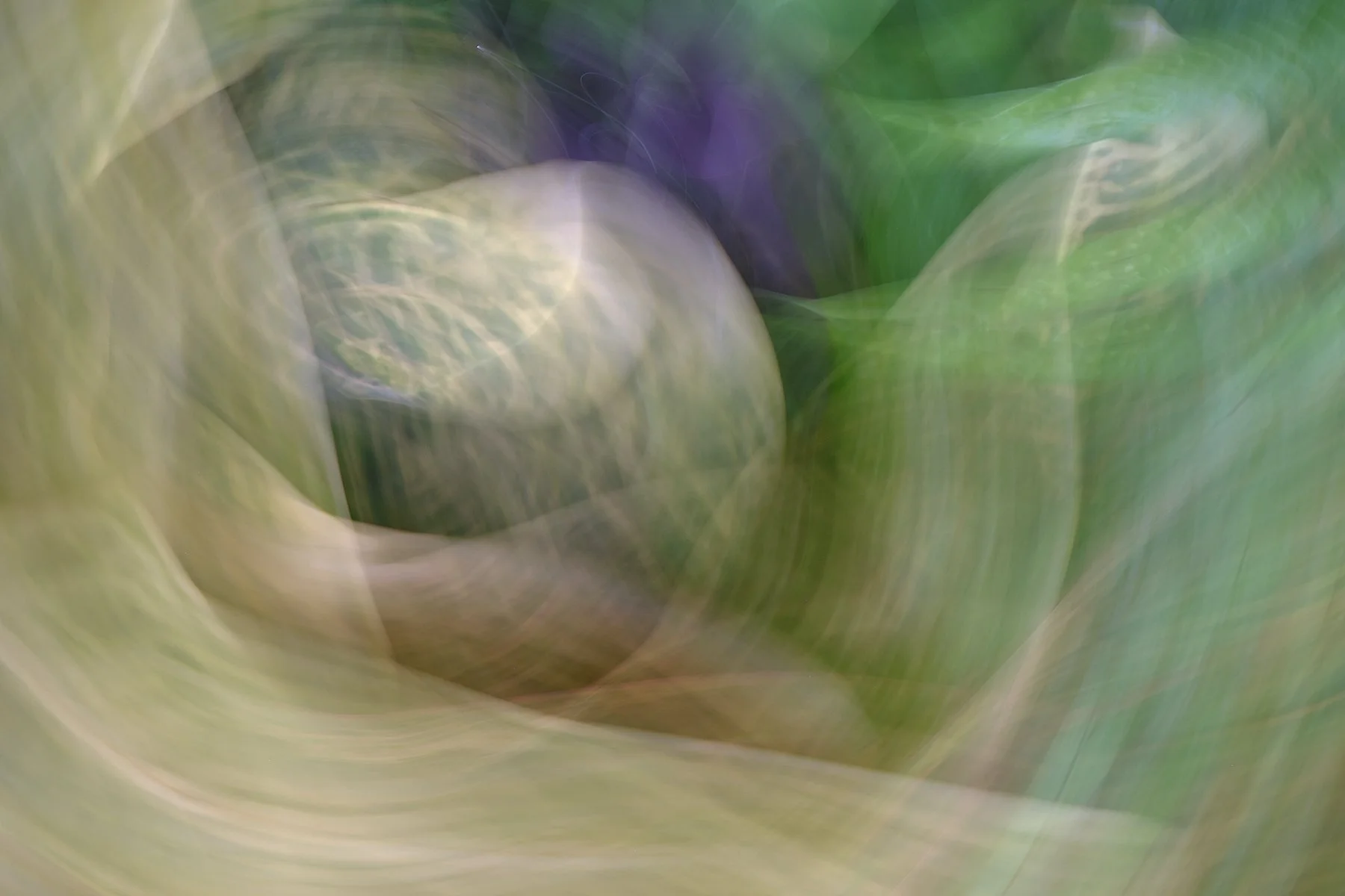 About — Biophilic Art Photography