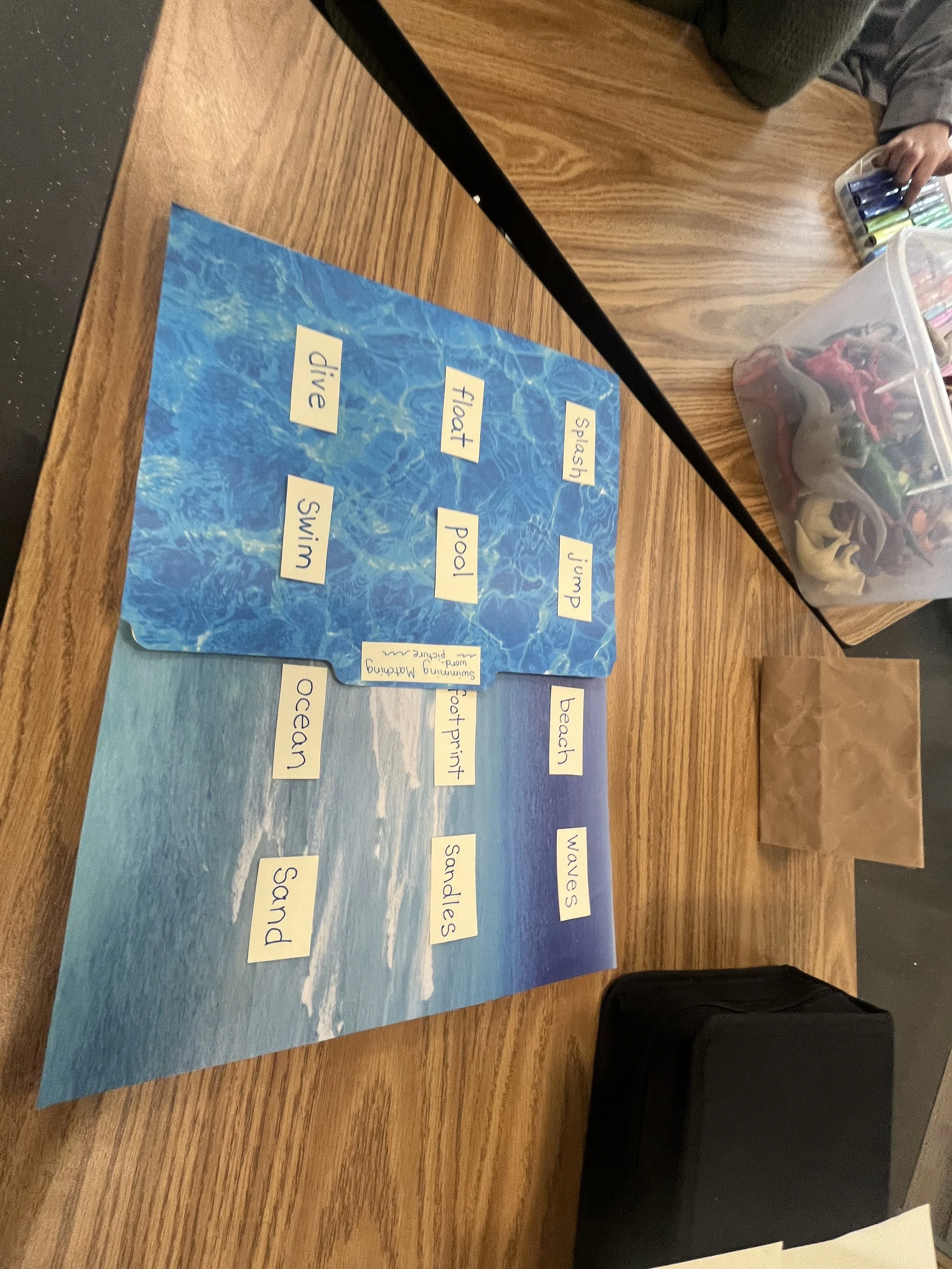 The Transformative Power of File Folders in Special Education ...