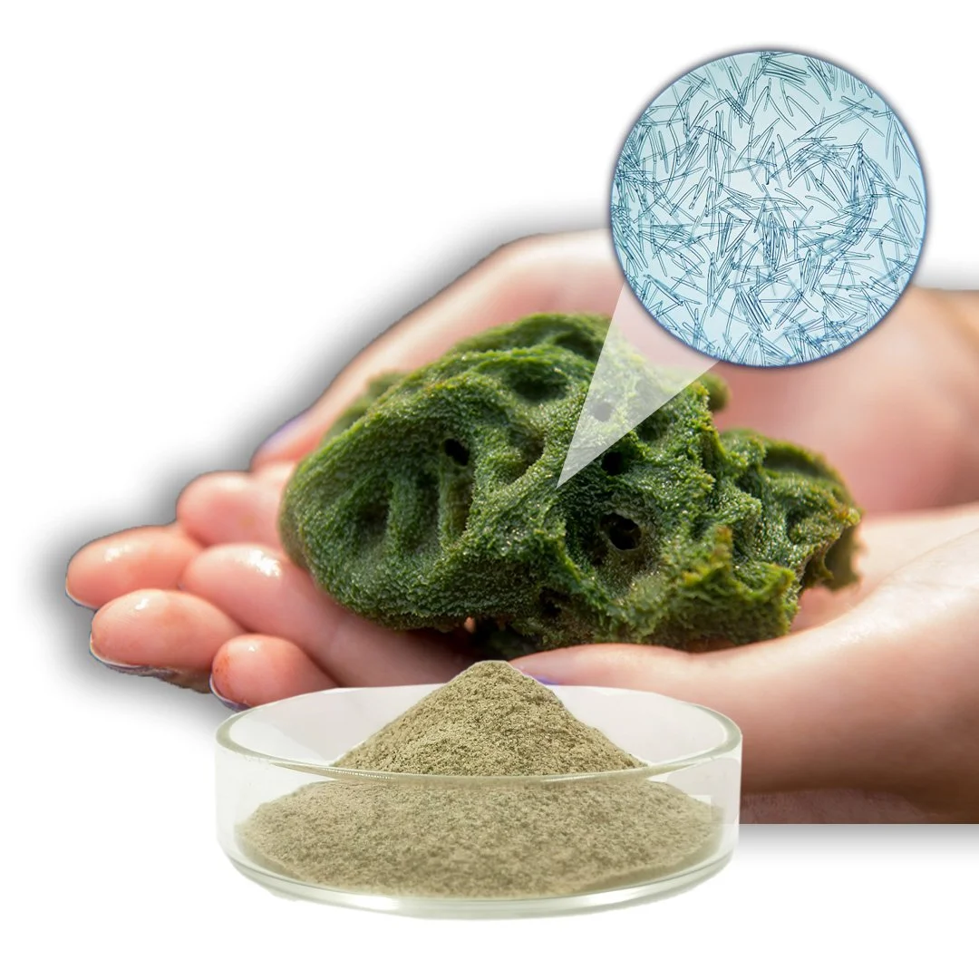 About — SQT Bio-Microneedling