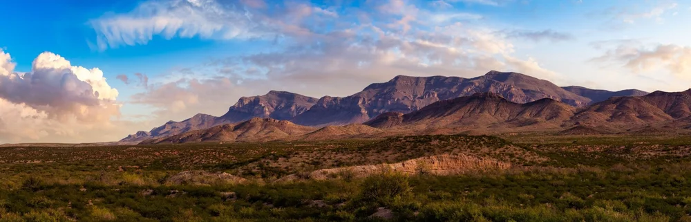 PHIX - El Paso's Health Information Exchange