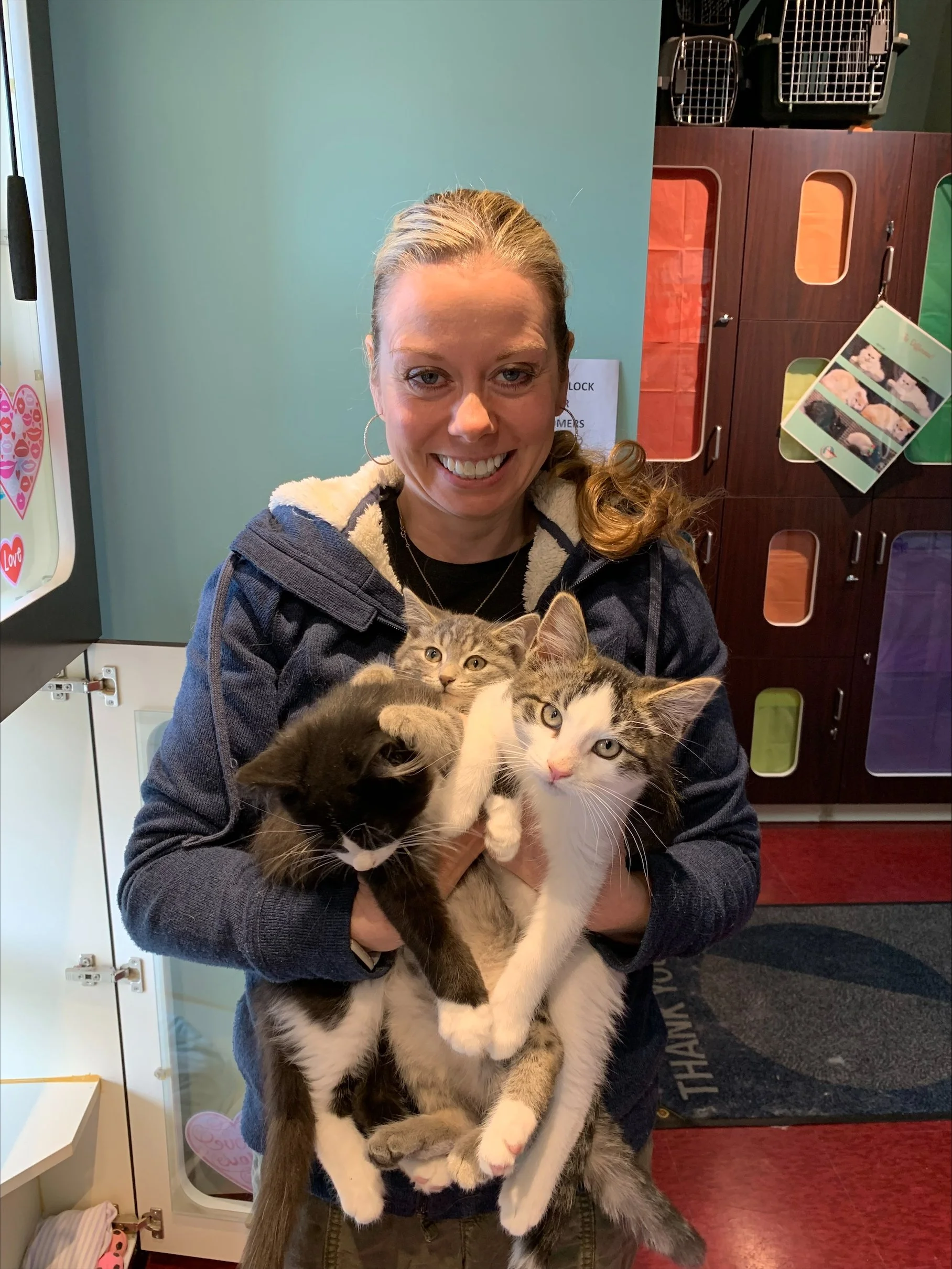 About — Regina Cat Rescue