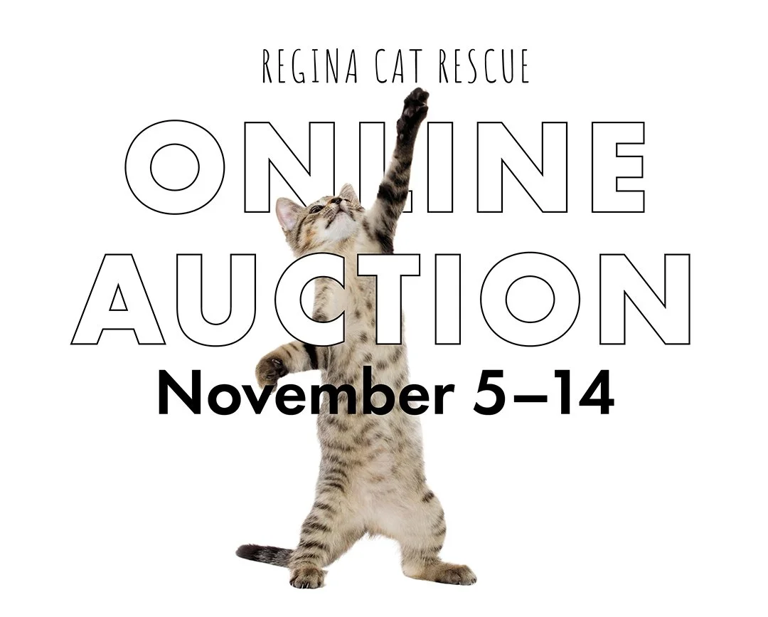RCR’s Online Auction November 5–14 — Regina Cat Rescue