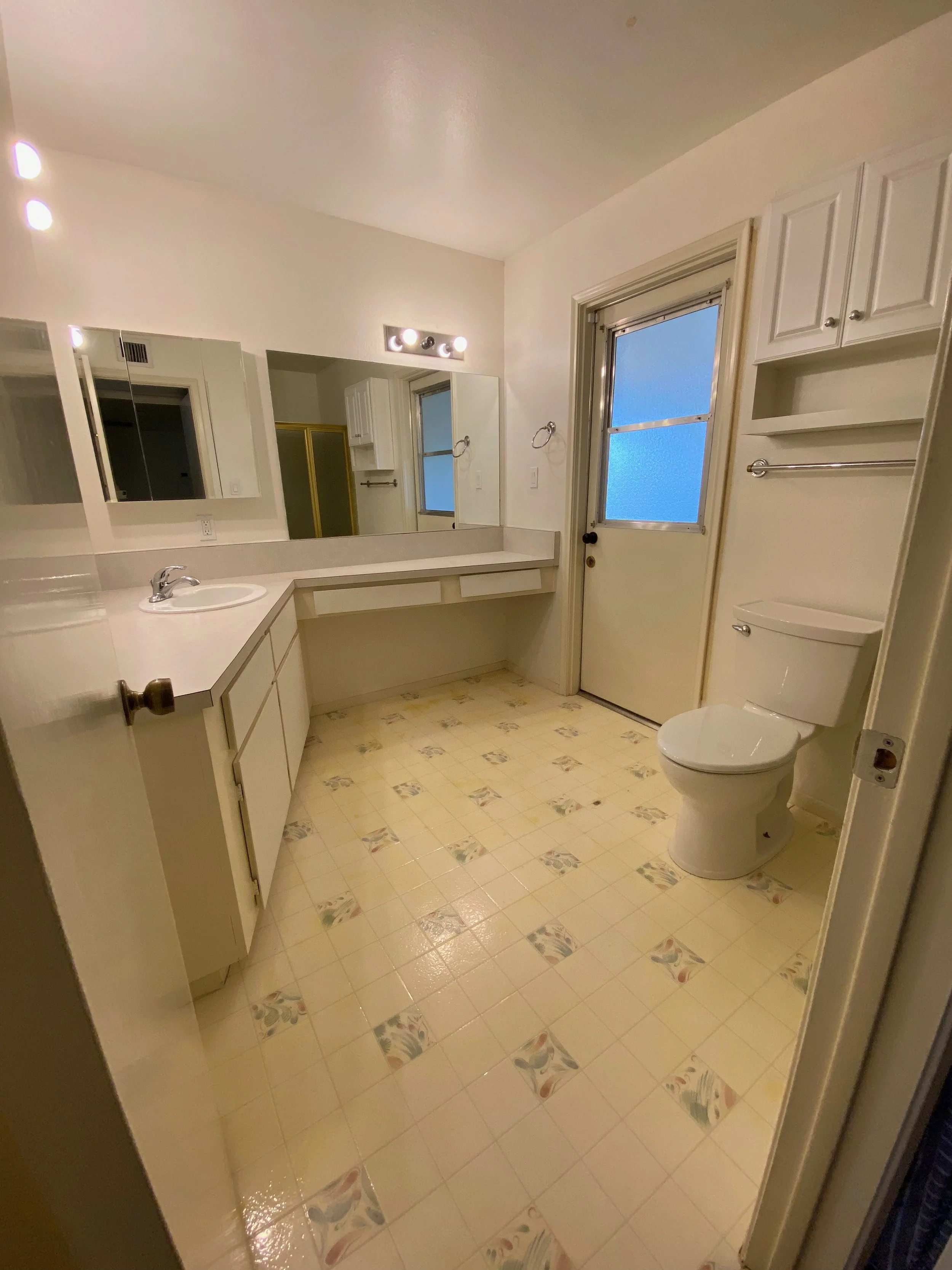 Reno Recap: Primary Bathroom — Simply Mrs. Edwards